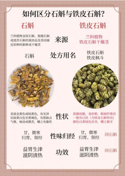 铁皮石斛的禁忌人群_铁皮石斛不能和什么一起吃-第2张图片-山城妙识
