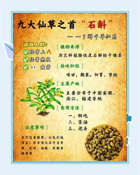 铁皮石斛的禁忌人群_铁皮石斛不能和什么一起吃-第1张图片-山城妙识