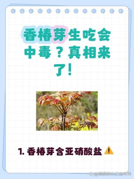 香椿有毒吗_香椿芽怎么吃才安全-第1张图片-山城妙识