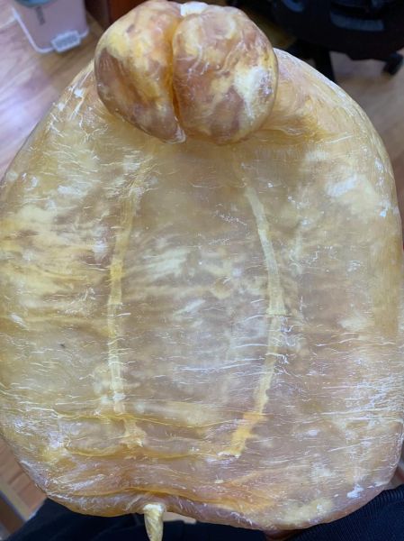花胶的价格一斤多少钱_花胶多少钱一斤正常-第3张图片-山城妙识 花胶的价格一斤多少钱_花胶多少钱一斤正常-第3张图片-山城妙识