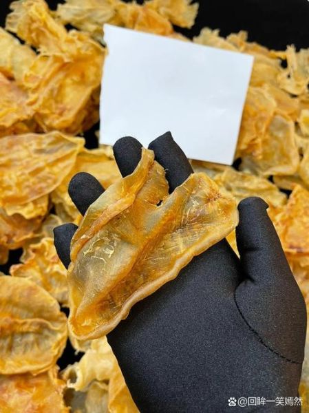 花胶的价格一斤多少钱_花胶多少钱一斤正常-第1张图片-山城妙识 花胶的价格一斤多少钱_花胶多少钱一斤正常-第1张图片-山城妙识