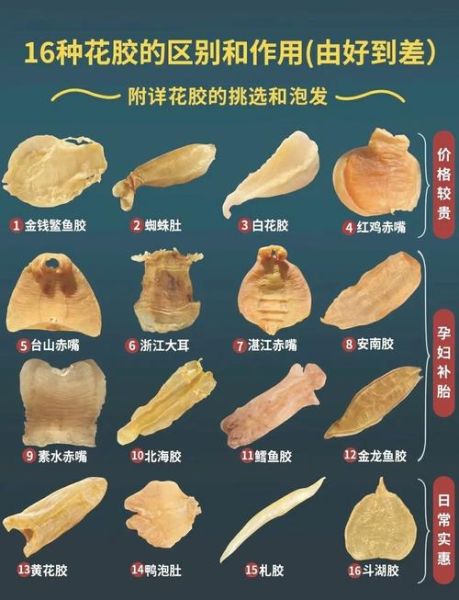 花胶鱼肚的功效与作用_花胶鱼肚适合什么人吃-第1张图片-山城妙识 花胶鱼肚的功效与作用_花胶鱼肚适合什么人吃-第1张图片-山城妙识