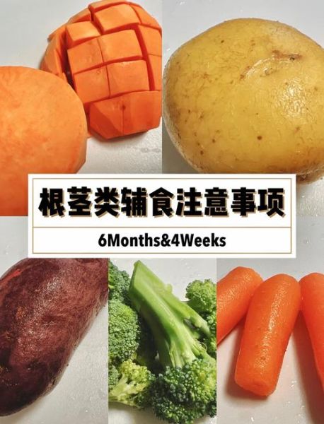 根茎类蔬菜有哪些_根茎类蔬菜怎么保存-第1张图片-山城妙识 根茎类蔬菜有哪些_根茎类蔬菜怎么保存-第1张图片-山城妙识