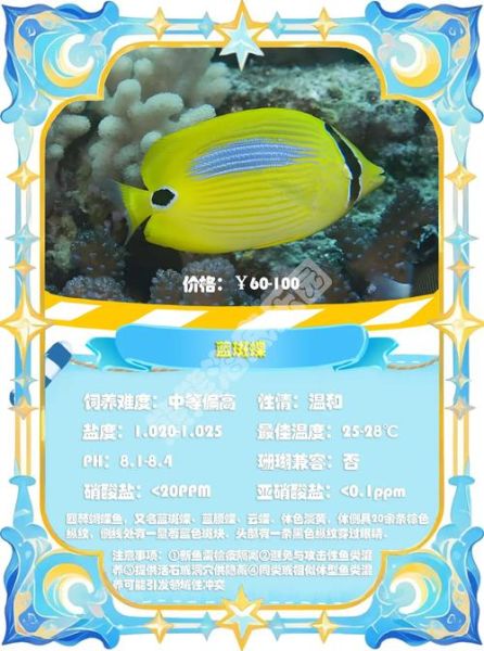 鲽鱼的种类有哪些_鲽鱼与比目鱼区别-第3张图片-山城妙识 鲽鱼的种类有哪些_鲽鱼与比目鱼区别-第3张图片-山城妙识