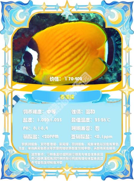 鲽鱼的种类有哪些_鲽鱼与比目鱼区别-第1张图片-山城妙识 鲽鱼的种类有哪些_鲽鱼与比目鱼区别-第1张图片-山城妙识