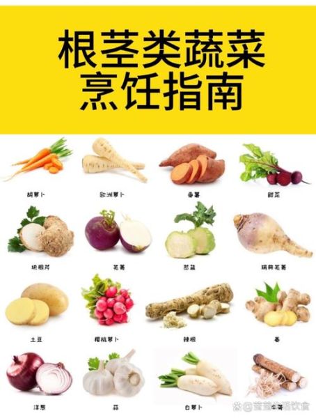 根茎类蔬菜有哪些_根茎类蔬菜怎么保存-第2张图片-山城妙识 根茎类蔬菜有哪些_根茎类蔬菜怎么保存-第2张图片-山城妙识