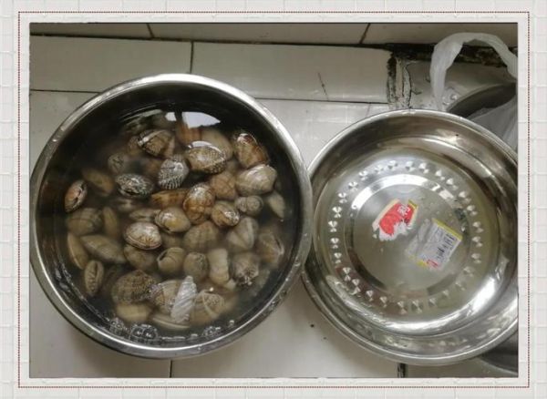 三鲜花甲汤怎么做_花甲汤去沙技巧-第2张图片-山城妙识 三鲜花甲汤怎么做_花甲汤去沙技巧-第2张图片-山城妙识