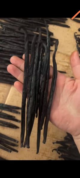 香草荚价格多少钱一根_为什么香草荚这么贵-第2张图片-山城妙识 香草荚价格多少钱一根_为什么香草荚这么贵-第2张图片-山城妙识