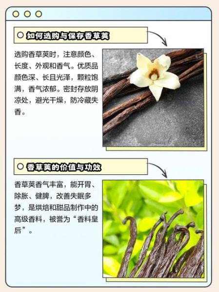 香草荚价格多少钱一根_为什么香草荚这么贵-第3张图片-山城妙识 香草荚价格多少钱一根_为什么香草荚这么贵-第3张图片-山城妙识