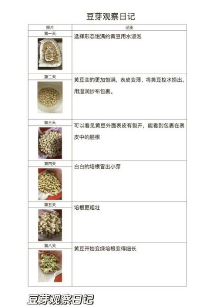 黄豆的生长过程_黄豆多久可以收获-第2张图片-山城妙识 黄豆的生长过程_黄豆多久可以收获-第2张图片-山城妙识