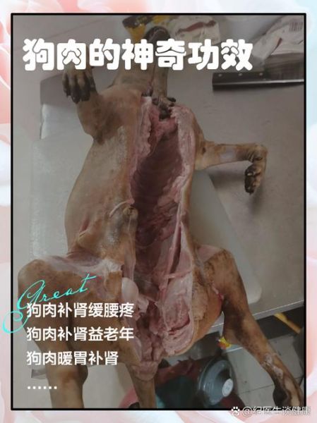 狗肉怎么吃最补肾_狗肉补肾的正确做法-第2张图片-山城妙识