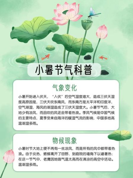 小暑节气的含义是什么_小暑节气有哪些传统习俗-第3张图片-山城妙识 小暑节气的含义是什么_小暑节气有哪些传统习俗-第3张图片-山城妙识