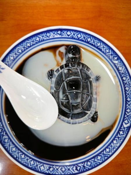 龟苓膏的功效与禁忌_适合什么人吃-第3张图片-山城妙识 龟苓膏的功效与禁忌_适合什么人吃-第3张图片-山城妙识