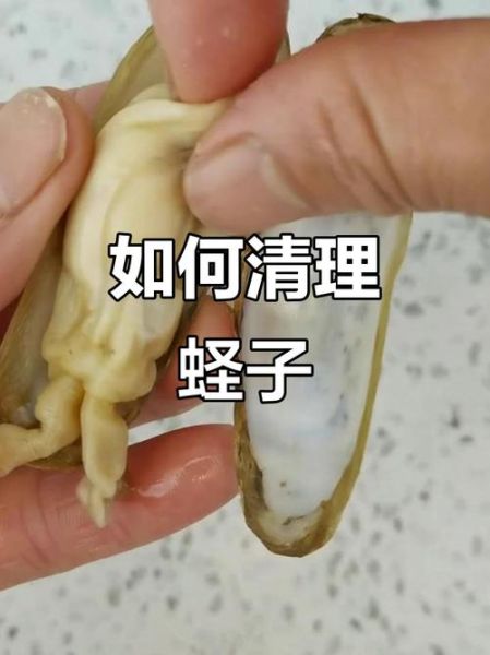 蛏子怎么清洗内脏_蛏子去内脏图解步骤-第1张图片-山城妙识 蛏子怎么清洗内脏_蛏子去内脏图解步骤-第1张图片-山城妙识