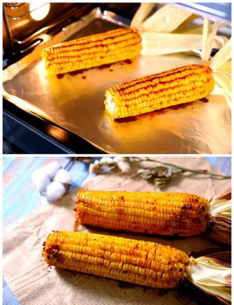 烤玉米烤箱多少钱_家用烤玉米烤箱价格-第1张图片-山城妙识 烤玉米烤箱多少钱_家用烤玉米烤箱价格-第1张图片-山城妙识