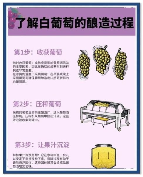 葡萄酒如何酿制_家庭自酿葡萄酒详细步骤-第2张图片-山城妙识 葡萄酒如何酿制_家庭自酿葡萄酒详细步骤-第2张图片-山城妙识