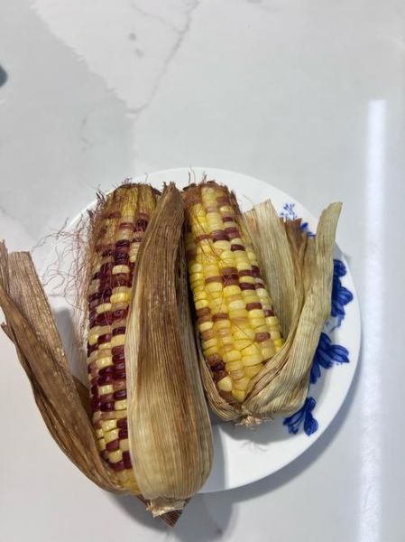 烤玉米烤箱多少钱_家用烤玉米烤箱价格-第2张图片-山城妙识 烤玉米烤箱多少钱_家用烤玉米烤箱价格-第2张图片-山城妙识