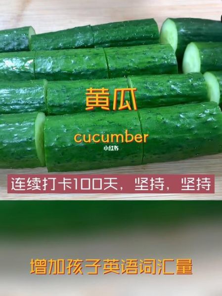 黄瓜的英文怎么读_cucumber发音技巧-第2张图片-山城妙识 黄瓜的英文怎么读_cucumber发音技巧-第2张图片-山城妙识