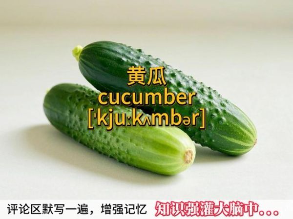 黄瓜的英文怎么读_cucumber发音技巧-第1张图片-山城妙识 黄瓜的英文怎么读_cucumber发音技巧-第1张图片-山城妙识