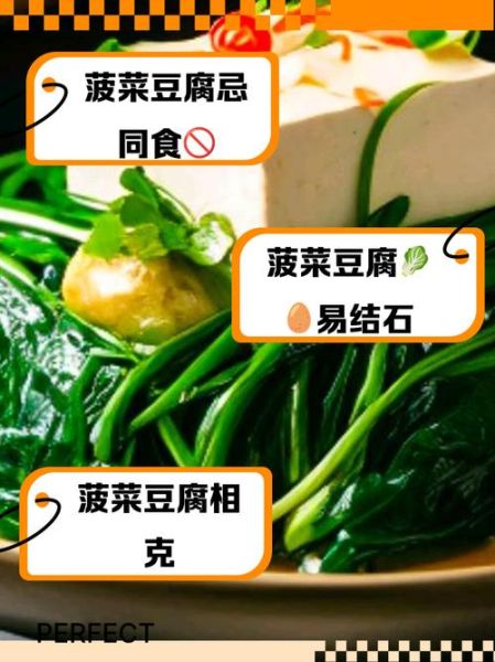 菠菜和豆腐能一起吃吗_菠菜豆腐同食真相-第3张图片-山城妙识 菠菜和豆腐能一起吃吗_菠菜豆腐同食真相-第3张图片-山城妙识