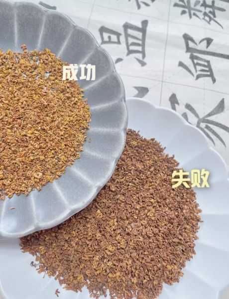 干桂花怎么做桂花蜜_干桂花做桂花蜜的正确步骤-第1张图片-山城妙识 干桂花怎么做桂花蜜_干桂花做桂花蜜的正确步骤-第1张图片-山城妙识