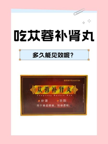 补肾的食物有哪些中药_肾虚吃什么中药调理-第1张图片-山城妙识 补肾的食物有哪些中药_肾虚吃什么中药调理-第1张图片-山城妙识