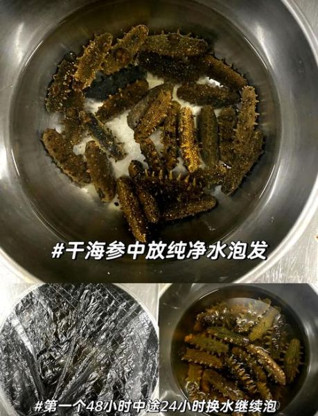 怎样水发干海参_干海参泡发多久才够大-第1张图片-山城妙识 怎样水发干海参_干海参泡发多久才够大-第1张图片-山城妙识