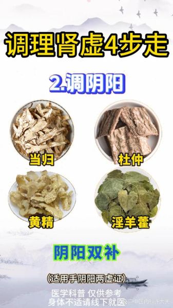补肾的食物有哪些中药_肾虚吃什么中药调理-第3张图片-山城妙识 补肾的食物有哪些中药_肾虚吃什么中药调理-第3张图片-山城妙识