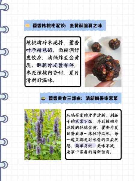 藿香怎么吃_藿香有什么功效与作用-第3张图片-山城妙识 藿香怎么吃_藿香有什么功效与作用-第3张图片-山城妙识