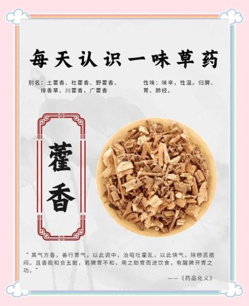 藿香怎么吃_藿香有什么功效与作用-第2张图片-山城妙识 藿香怎么吃_藿香有什么功效与作用-第2张图片-山城妙识