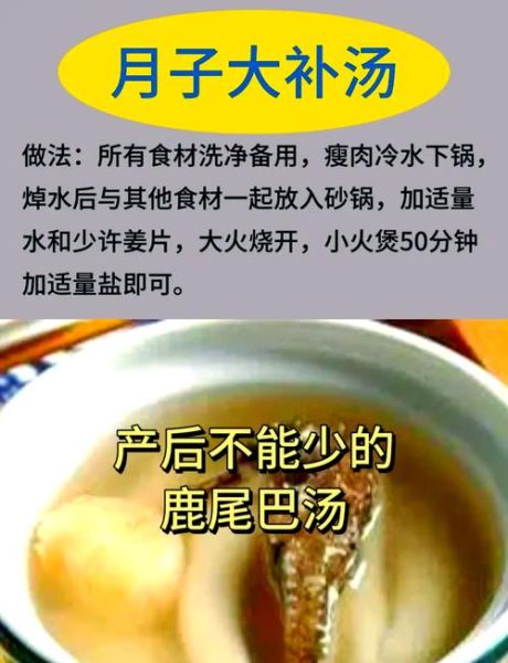 鹿肉汤怎么做_鹿肉汤的功效与禁忌-第1张图片-山城妙识 鹿肉汤怎么做_鹿肉汤的功效与禁忌-第1张图片-山城妙识