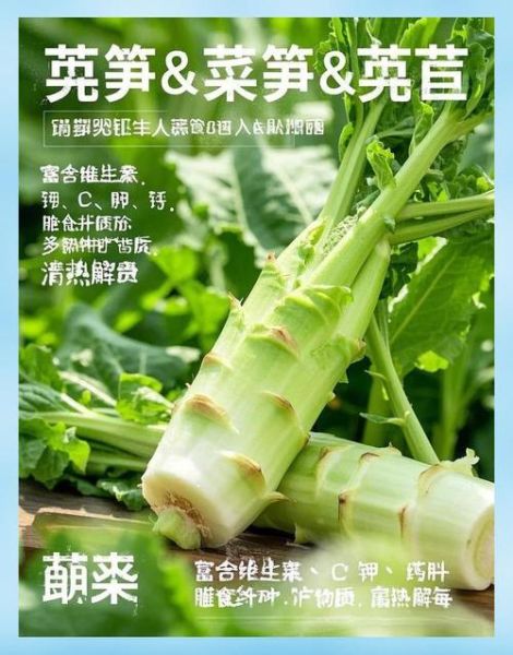 莴笋能减肥吗_莴笋的营养价值及功效-第1张图片-山城妙识 莴笋能减肥吗_莴笋的营养价值及功效-第1张图片-山城妙识