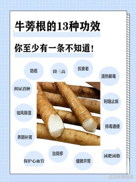鲜牛蒡怎么吃最有营养_鲜牛蒡最佳吃法-第1张图片-山城妙识 鲜牛蒡怎么吃最有营养_鲜牛蒡最佳吃法-第1张图片-山城妙识