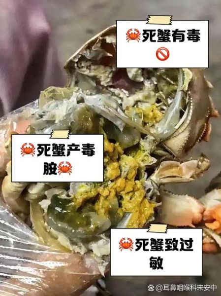 吃死螃蟹一定会中毒吗_死蟹到底能不能吃-第1张图片-山城妙识 吃死螃蟹一定会中毒吗_死蟹到底能不能吃-第1张图片-山城妙识