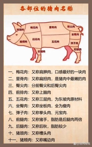 里脊肉是什么肉_里脊肉是哪个部位-第2张图片-山城妙识 里脊肉是什么肉_里脊肉是哪个部位-第2张图片-山城妙识
