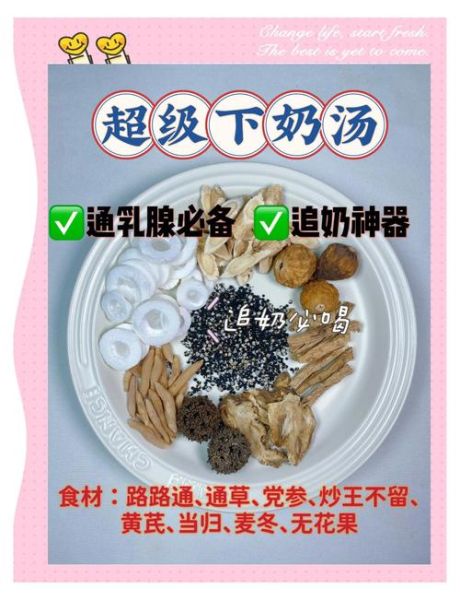 通草怎么吃下奶快_通草下奶的正确吃法-第1张图片-山城妙识