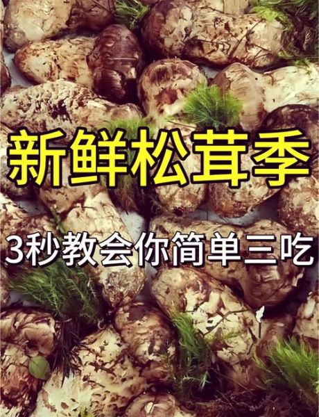 松茸怎么做好吃_松茸的做法大全-第1张图片-山城妙识 松茸怎么做好吃_松茸的做法大全-第1张图片-山城妙识