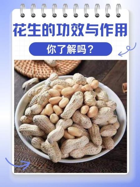 花生有哪些功效与作用_花生怎么吃最有营养-第1张图片-山城妙识 花生有哪些功效与作用_花生怎么吃最有营养-第1张图片-山城妙识