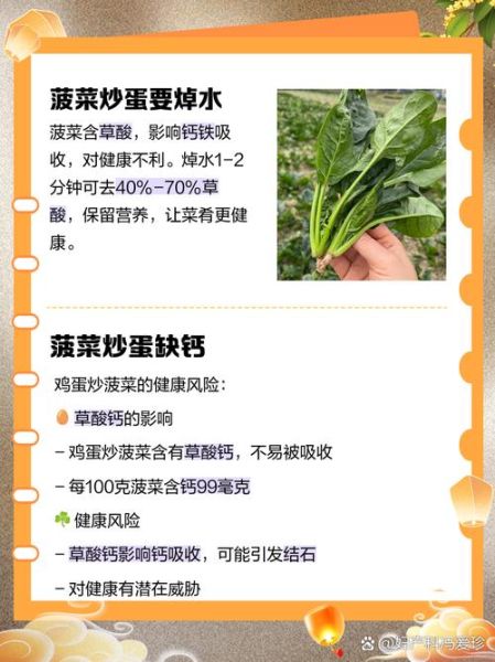 菠菜炒鸡蛋的功效与作用_菠菜炒鸡蛋的营养价值-第1张图片-山城妙识 菠菜炒鸡蛋的功效与作用_菠菜炒鸡蛋的营养价值-第1张图片-山城妙识
