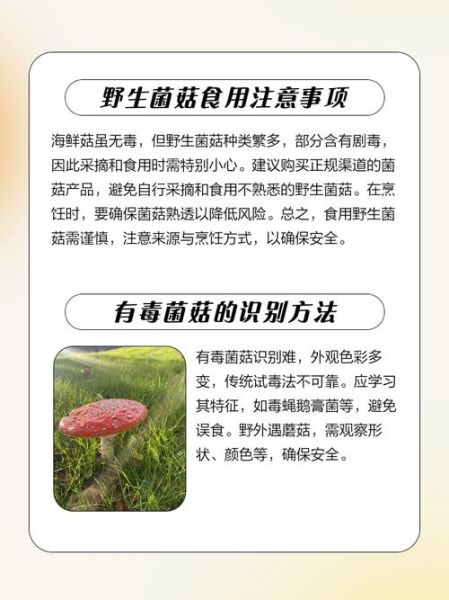 海鲜菇中毒是真的吗_如何避免海鲜菇中毒-第1张图片-山城妙识