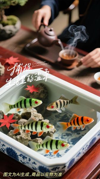 小型淡水鱼有哪些_新手适合养什么小型淡水鱼-第1张图片-山城妙识 小型淡水鱼有哪些_新手适合养什么小型淡水鱼-第1张图片-山城妙识