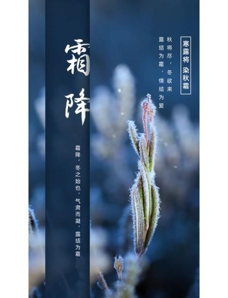 霜降的唯美句子有哪些_霜降节气如何描写-第1张图片-山城妙识 霜降的唯美句子有哪些_霜降节气如何描写-第1张图片-山城妙识