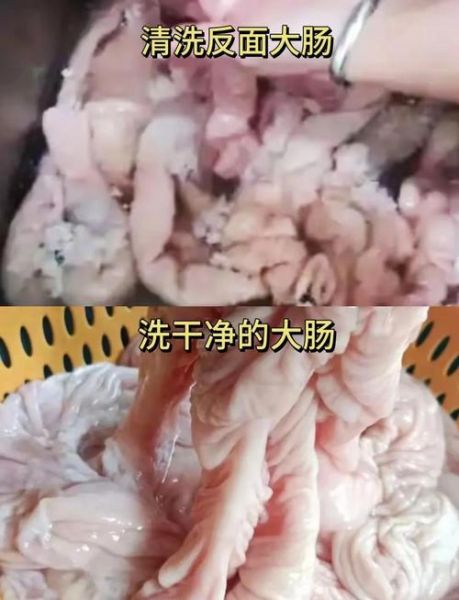 洗猪大肠最好的方法_猪大肠怎么洗才干净无异味-第3张图片-山城妙识 洗猪大肠最好的方法_猪大肠怎么洗才干净无异味-第3张图片-山城妙识