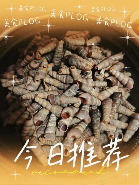 钉螺的功效与作用_钉螺的营养价值有哪些-第2张图片-山城妙识 钉螺的功效与作用_钉螺的营养价值有哪些-第2张图片-山城妙识