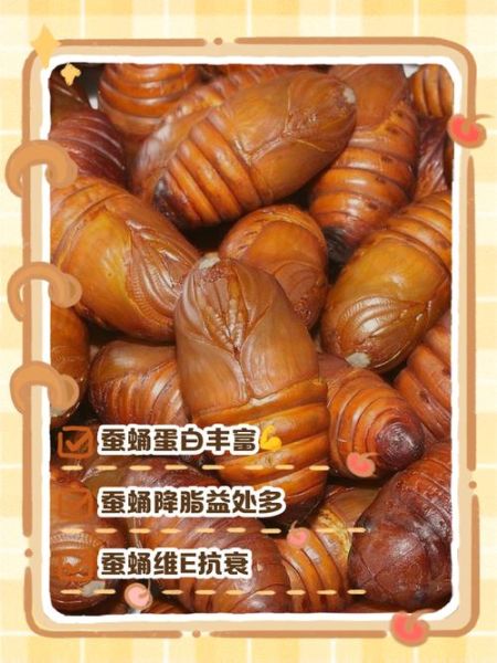 蚕蛹一天吃几个能补高蛋白_蚕蛹蛋白质含量高吗-第1张图片-山城妙识 蚕蛹一天吃几个能补高蛋白_蚕蛹蛋白质含量高吗-第1张图片-山城妙识