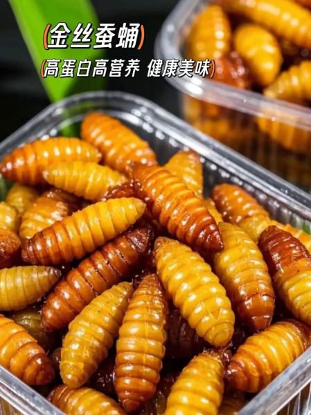 蚕蛹一天吃几个能补高蛋白_蚕蛹蛋白质含量高吗-第3张图片-山城妙识 蚕蛹一天吃几个能补高蛋白_蚕蛹蛋白质含量高吗-第3张图片-山城妙识