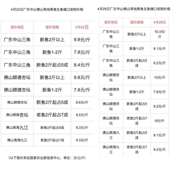 黑鱼多少钱一斤2021市场价_黑鱼价格走势-第1张图片-山城妙识 黑鱼多少钱一斤2021市场价_黑鱼价格走势-第1张图片-山城妙识