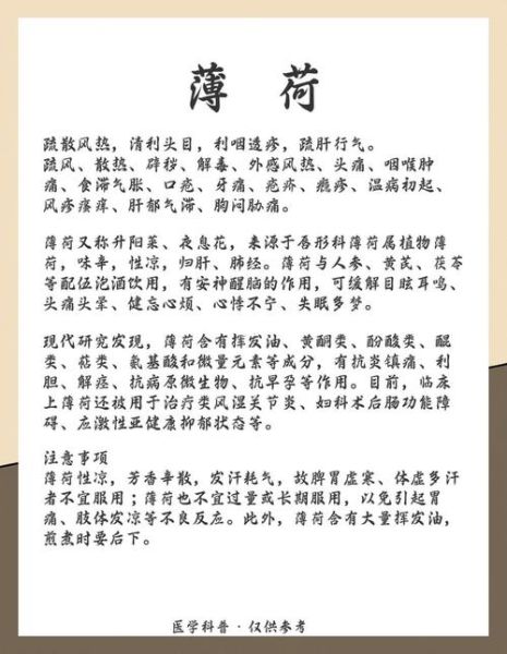 薄荷的功效与作用_薄荷能治什么病-第2张图片-山城妙识 薄荷的功效与作用_薄荷能治什么病-第2张图片-山城妙识
