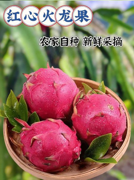 红心火龙果吃了上火吗_红心火龙果上火还是降火-第1张图片-山城妙识 红心火龙果吃了上火吗_红心火龙果上火还是降火-第1张图片-山城妙识