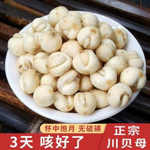 小孩吃川贝的副作用_川贝儿童用量安全吗-第3张图片-山城妙识 小孩吃川贝的副作用_川贝儿童用量安全吗-第3张图片-山城妙识